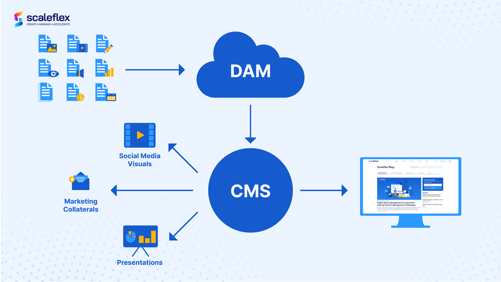 Digital Asset Management (DAM) vs Content Management System (CMS): What Is What?