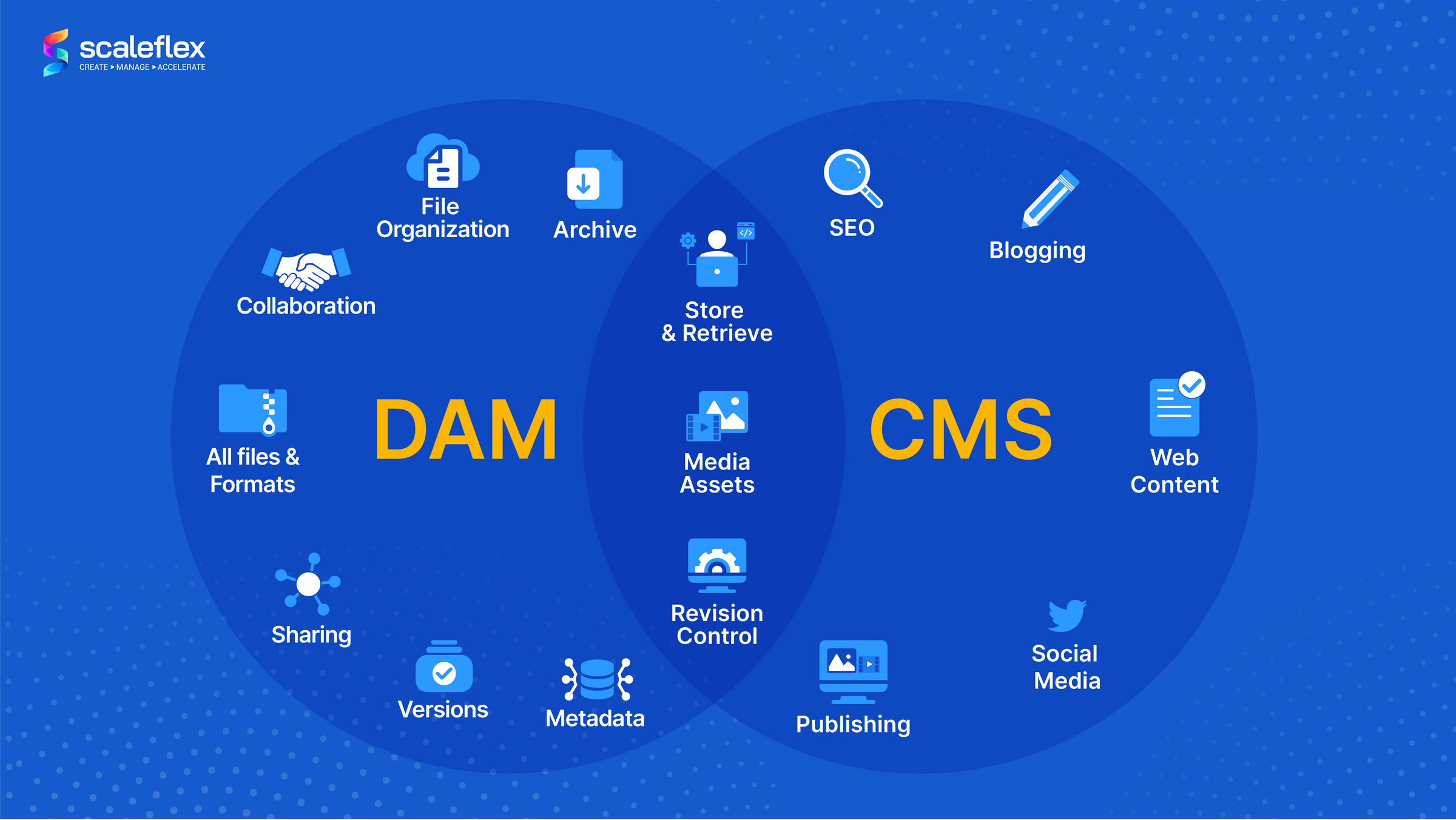 Digital Asset Management (DAM) vs Content Management System (CMS): What Is What?