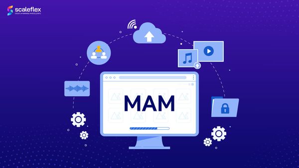 DAM vs. MAM: Key Differences Between Both Asset Management Platforms